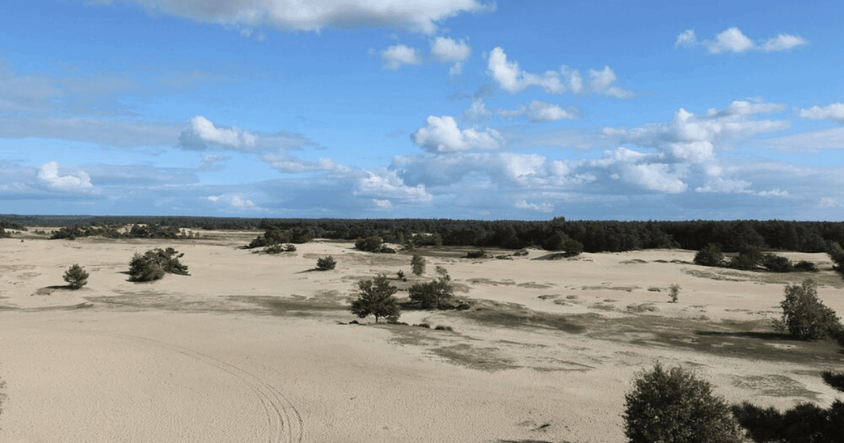 Over de Zanderij | Camping de Zanderij