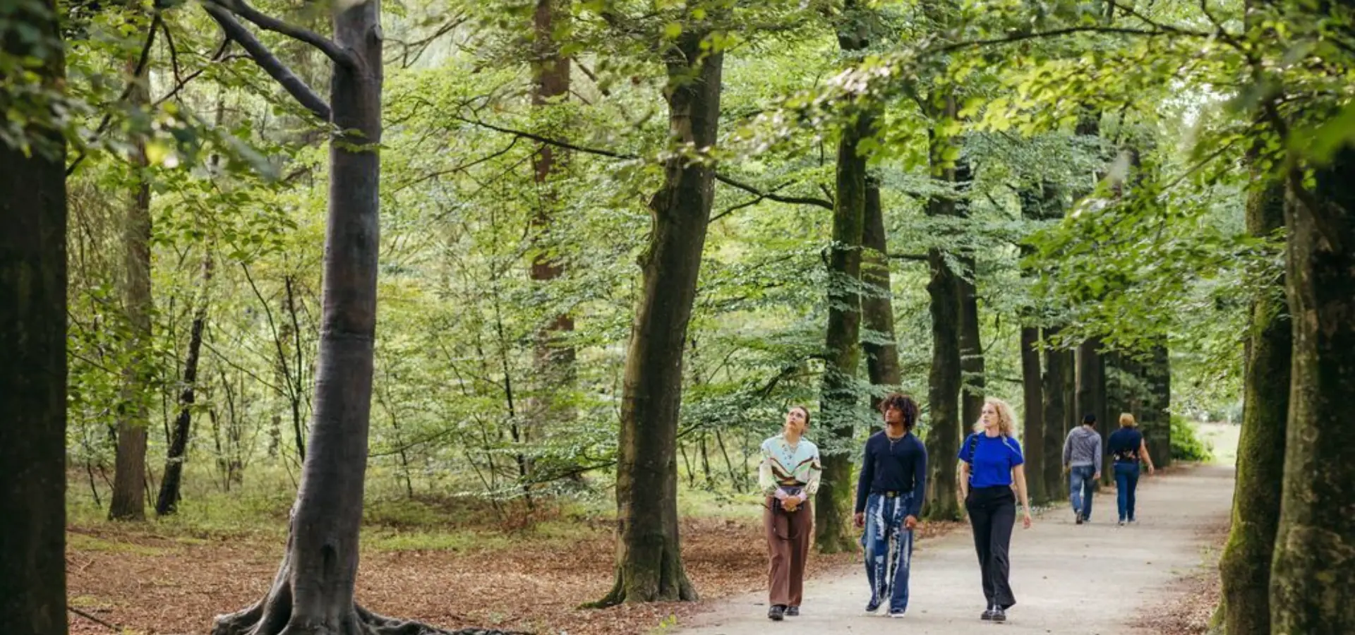 Wandelen en fietsen | Camping de Zanderij