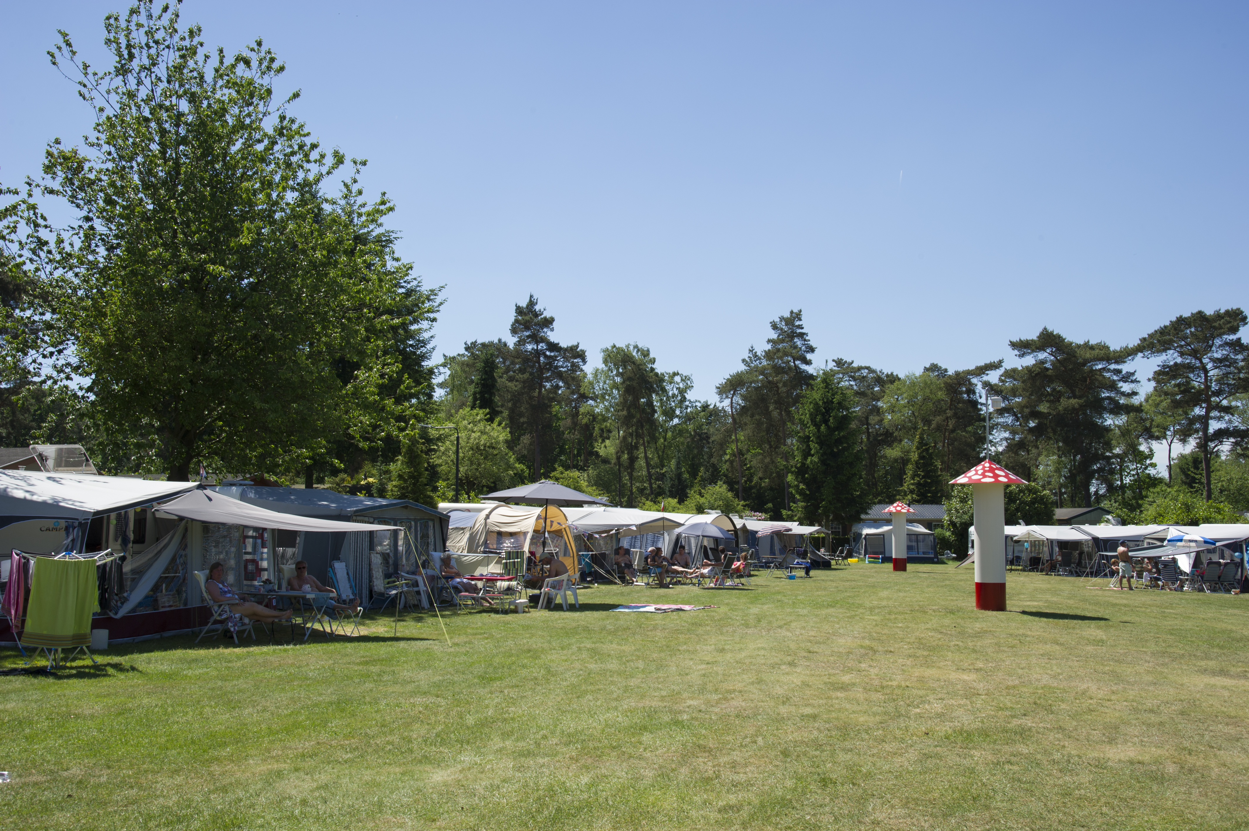 Kamperen - Camping De Zanderij